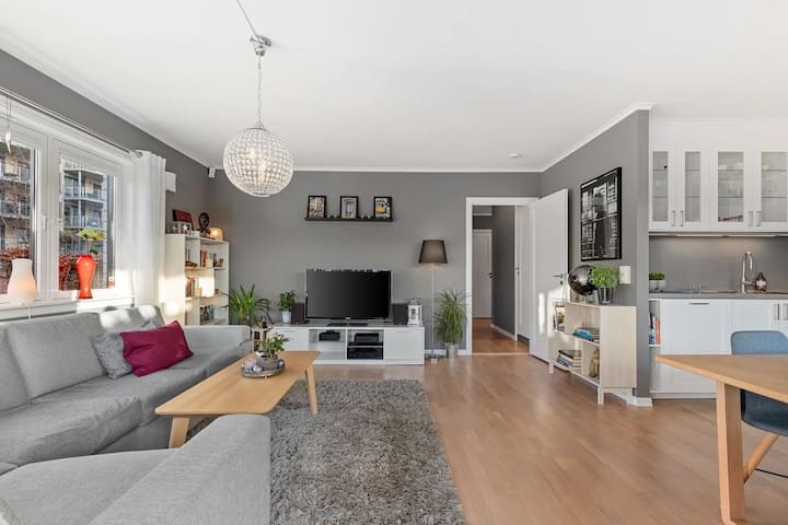 Cosy Apartment Along The River - Oslo