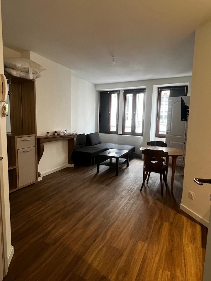Appartement Cosy En Plein Centre - Besançon