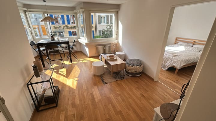 Appartement Centre Bâle 2 Pièce - Basilea