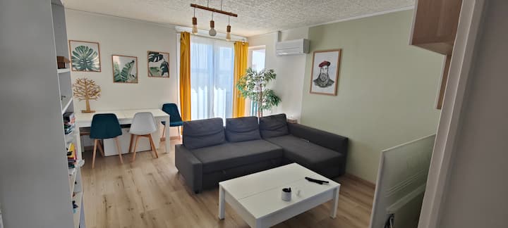 Appartement T4 Saint Jean De Luz - Ascain