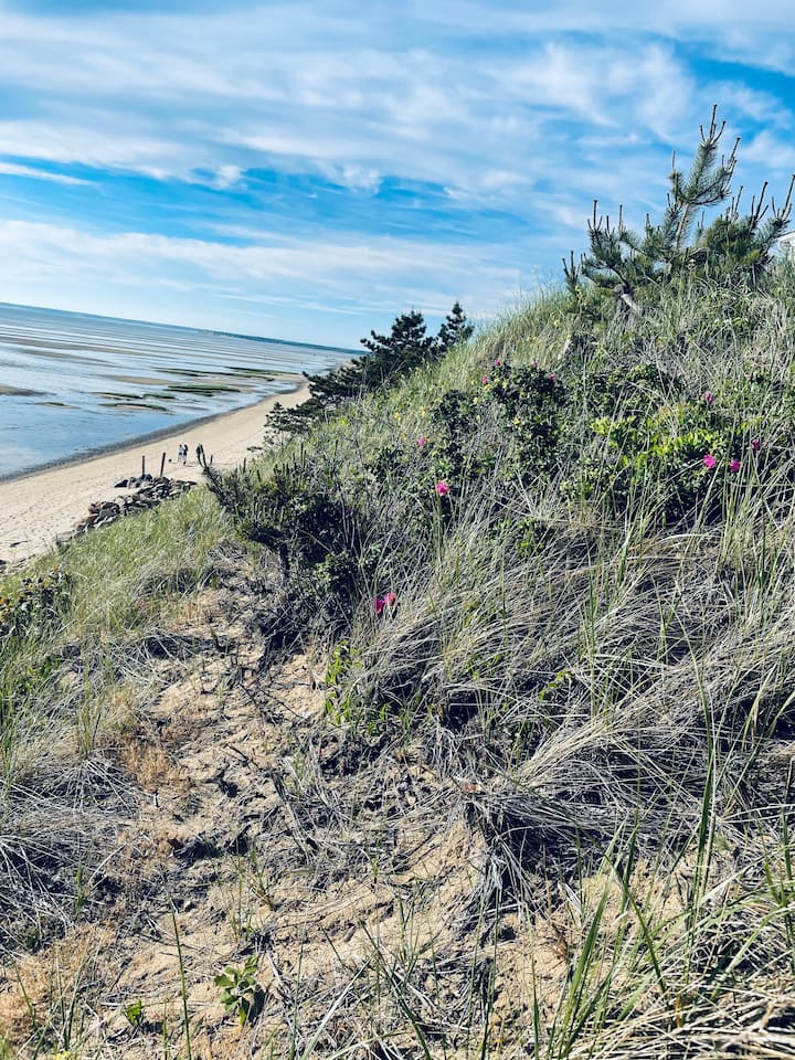 Private Beach 0.2 Mi Central Ac - Eastham, MA