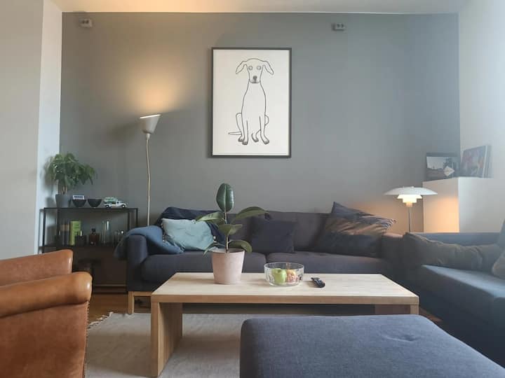 City Center - Spacious Apartment - Oslo