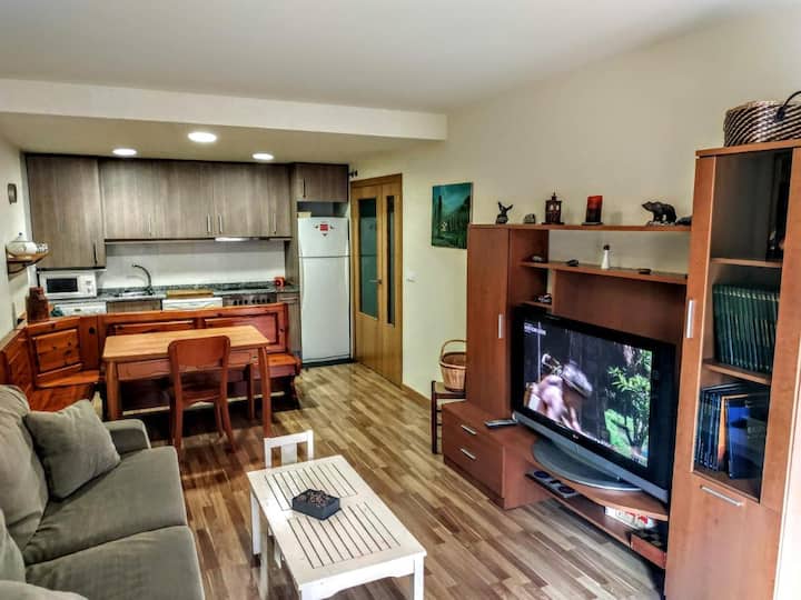 Bonito Apartamento En Aínsa - Labuerda