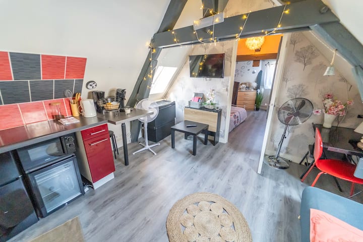 Appart Cocooning à 2 Pas Château - Blois