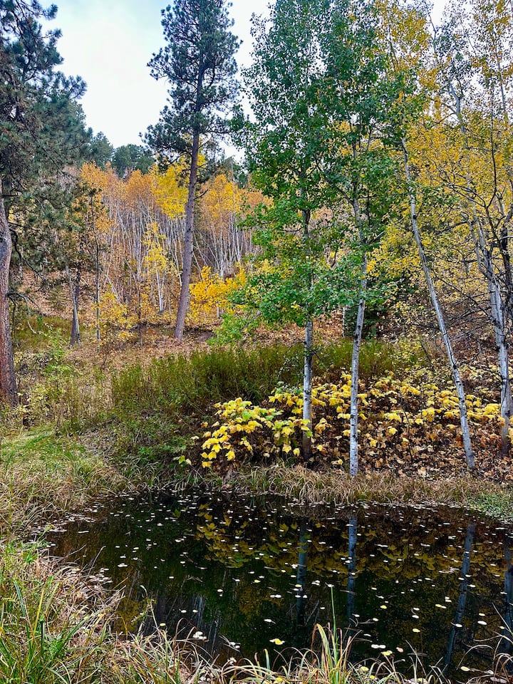 Room 18 – King Bed - Deadwood, SD