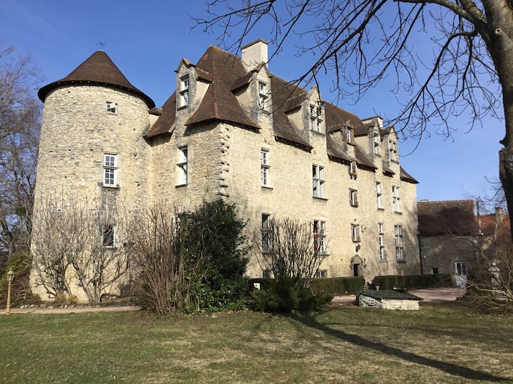 Château Du Xivème Siècle - France