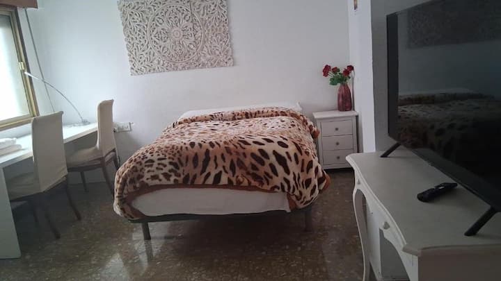 Habitación Con Baño Privado - 格拉納達