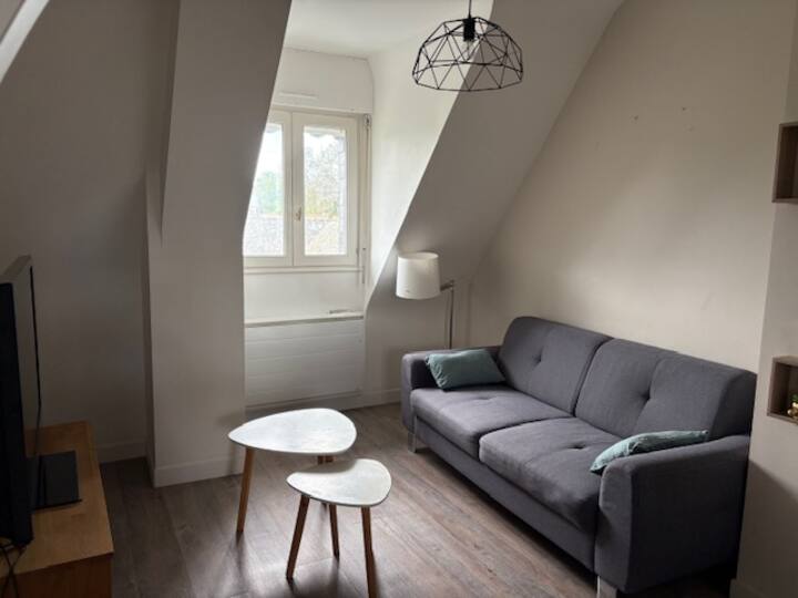 Appartement Brech Centre - Auray