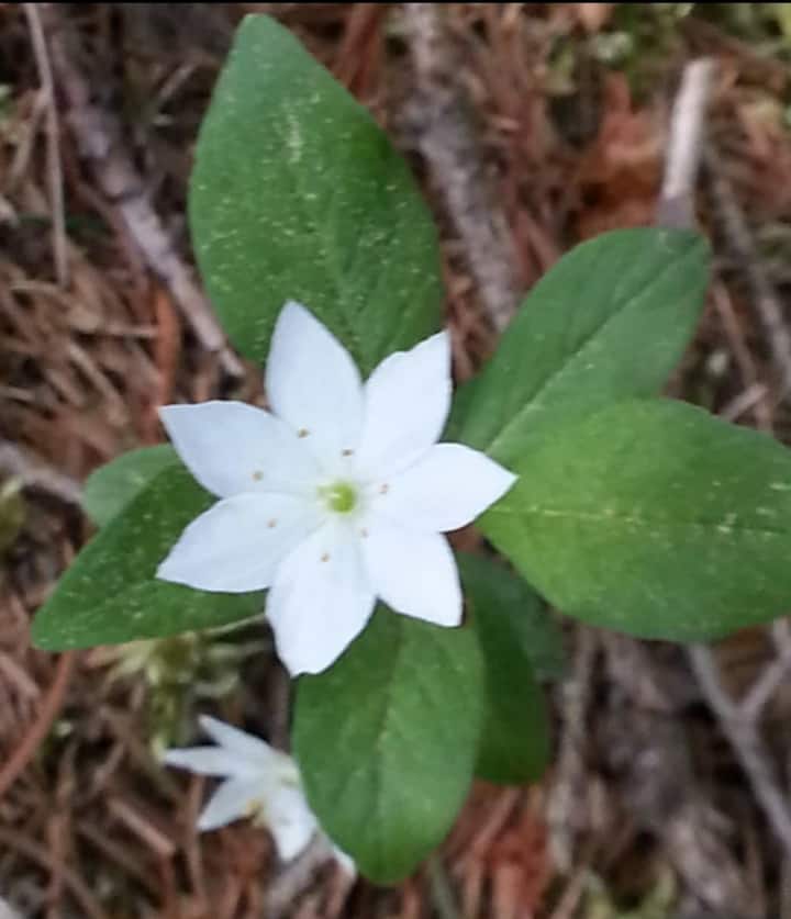 Ferienwohnung Für 1 - 2 Personen - Neubau