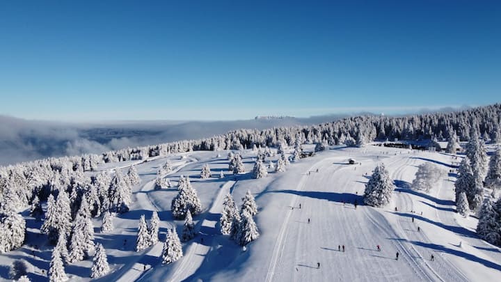 Au Coin Du Verger ( Avec Parking Privé Gratuit) - Seynod