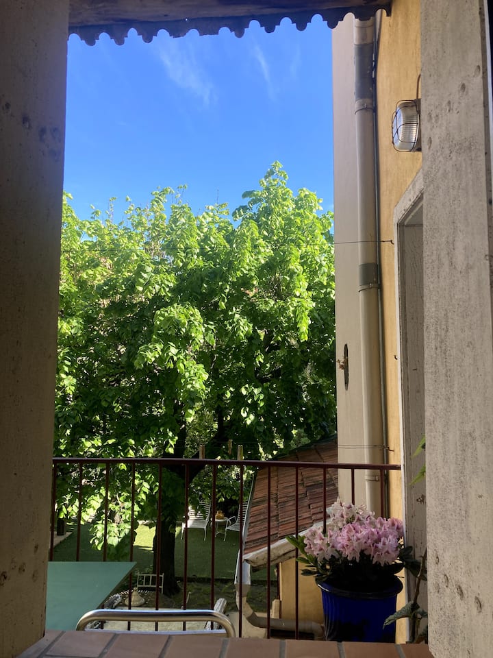 Très Bel Appartement Sète - Sète