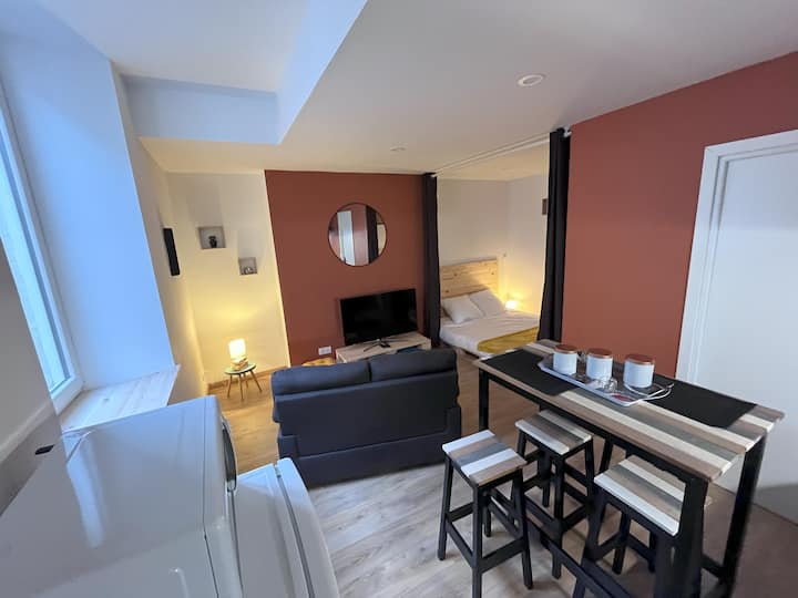 Studio Proche Château - Lunéville