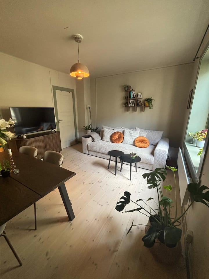 Attraktiv Og Smart Leilighet! - Oslo