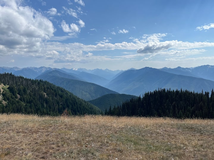 Sequim And Sun - Sequim, WA