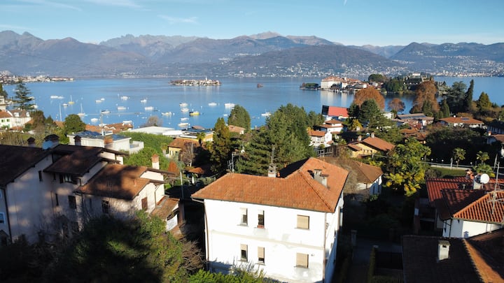 Piccolo Lupo - Stresa