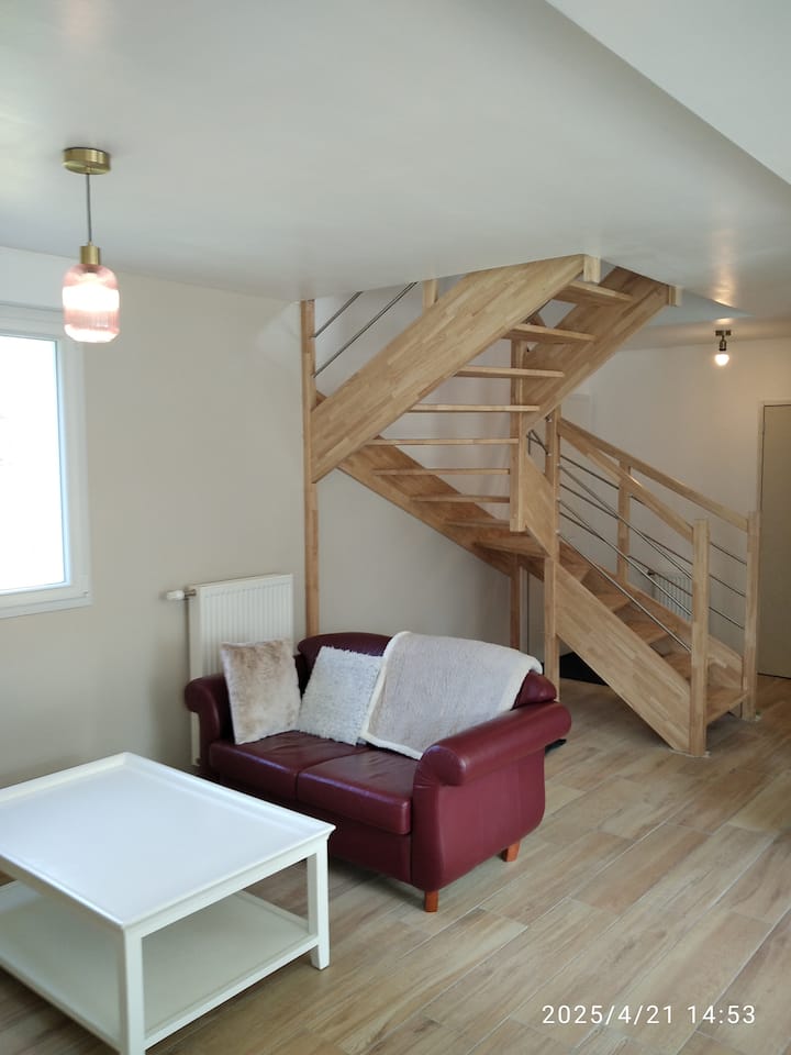 Maison Neuve Avec Jardin, Proche Des Plages - Douarnenez