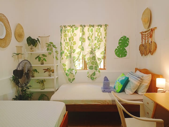 Twin Beds Room D - Amwani Azure - Puerto Princesa