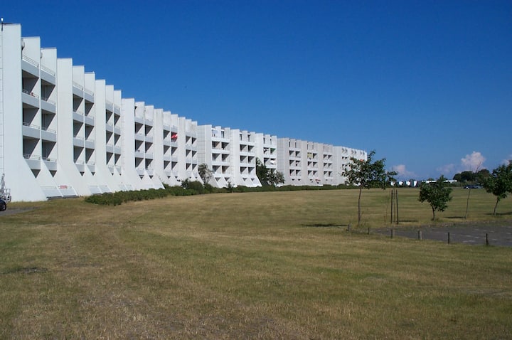 Fewo : Btsd54203-stranddistel Ii - Fehmarn