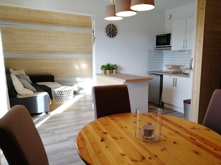 Appartement Au Pied Des Pistes - Lac de Serre-Ponçon