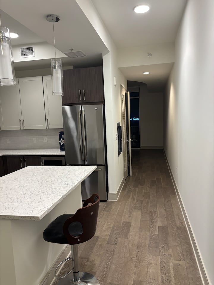 Nice For Downtown, Medical Area - Houston, TX