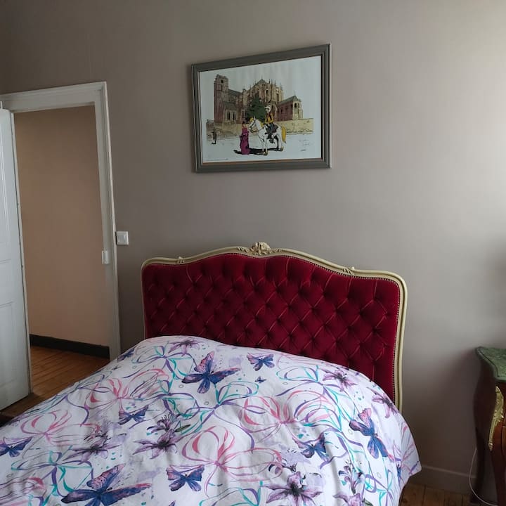 Chambre De Style Cœur De Ville - Le Mans