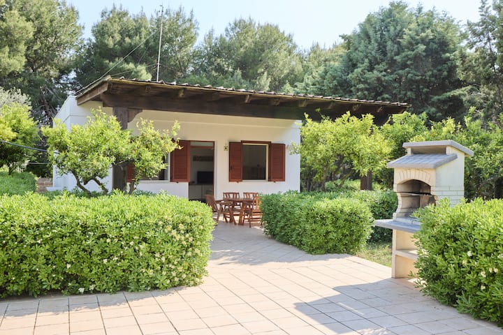 Villetta Degli Ulivi - Alezio
