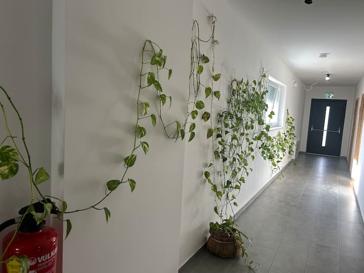 Attraktives Zweibettzimmer In Kremsmünster - Bad Hall