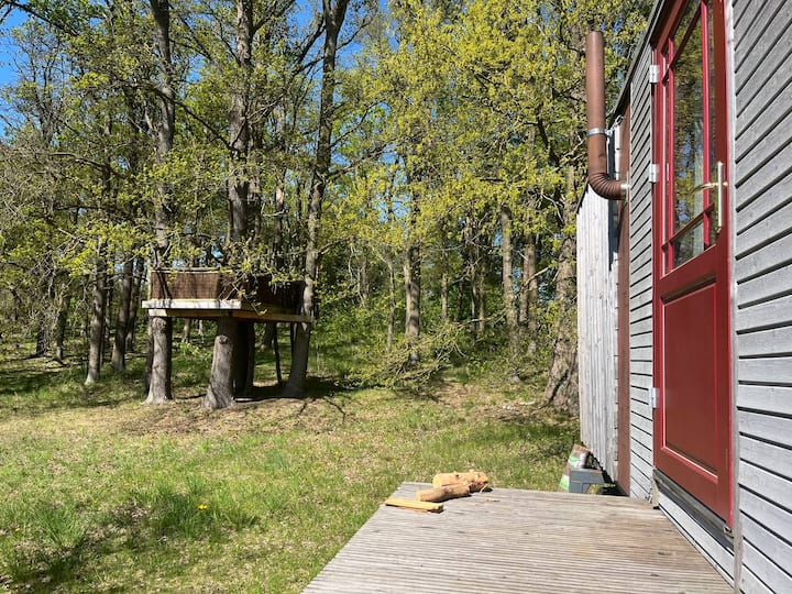 Tiny House - Wald Auszeithaus - Dannenberg