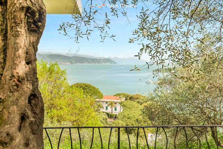 Pietra Di Mare, Terremarine - Porto Venere
