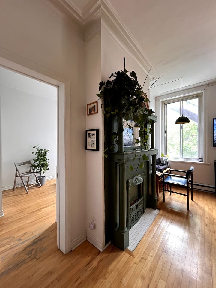 Lumière Et Cachet - Mile End - Montreal