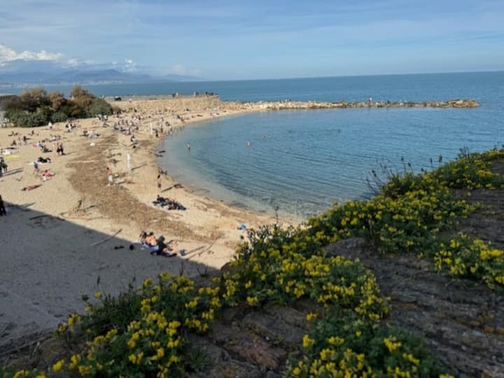 Logement Insolite à Antibes - Juan les Pins
