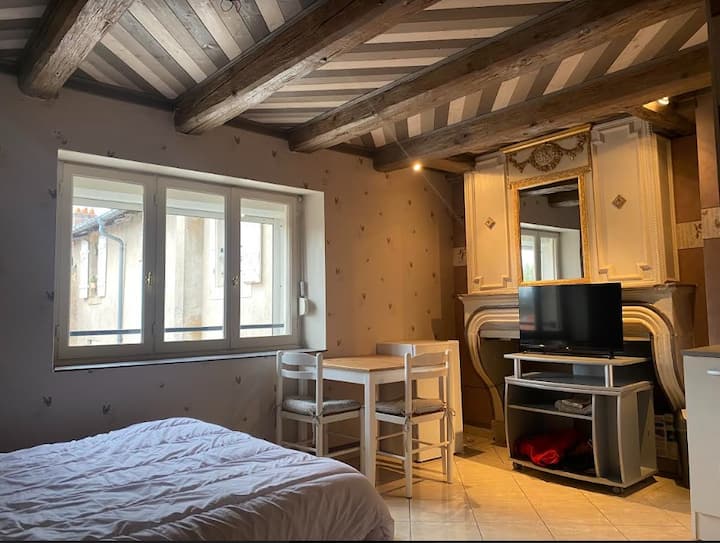 Joli Studio Avec Du Charme - Lunéville