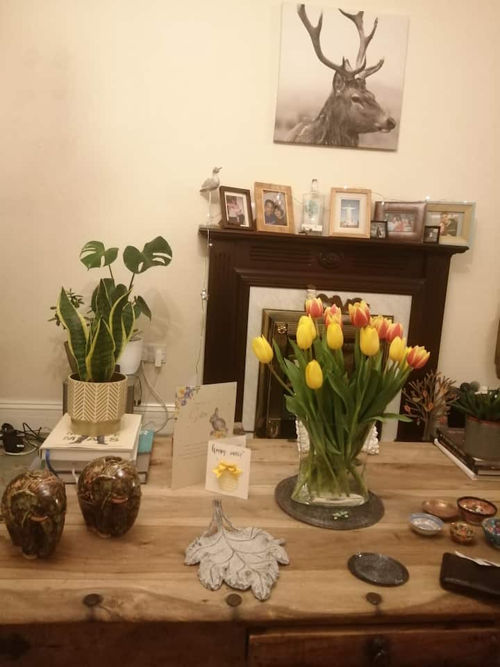 Lovely Flat In A Beautiful Town - Enfield
