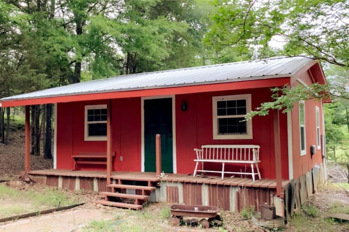 Rosie Rabbit - Canton, TX