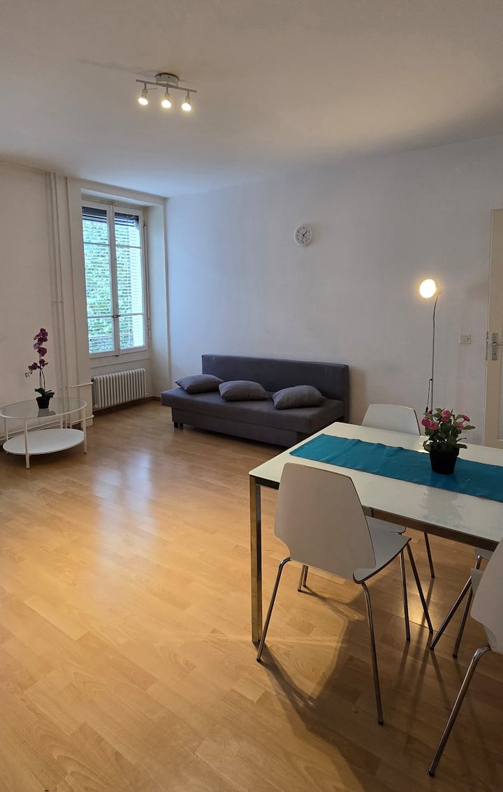 Urban Apartment - Genève