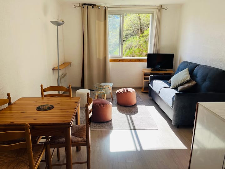 Studio Montagne - 100m Pistes - Sauze Super Sauze