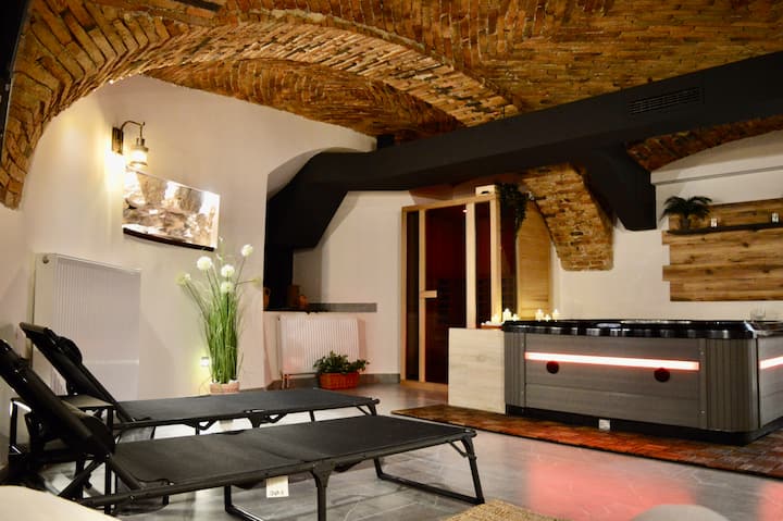 Celje Spa Apartment - Celje