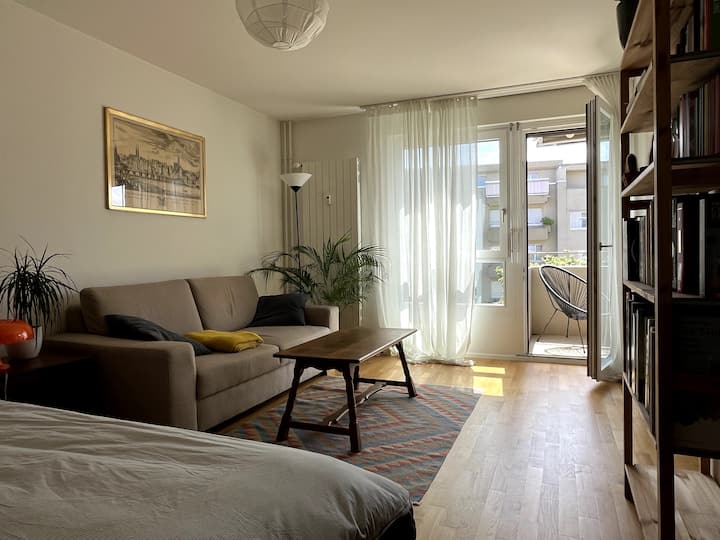 Sunny Studio In Kleinbasel - Basel