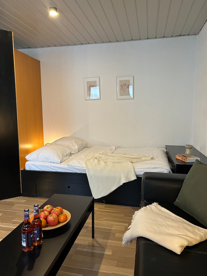 The8apartments Apartment Nr. 6 - Darmstadt