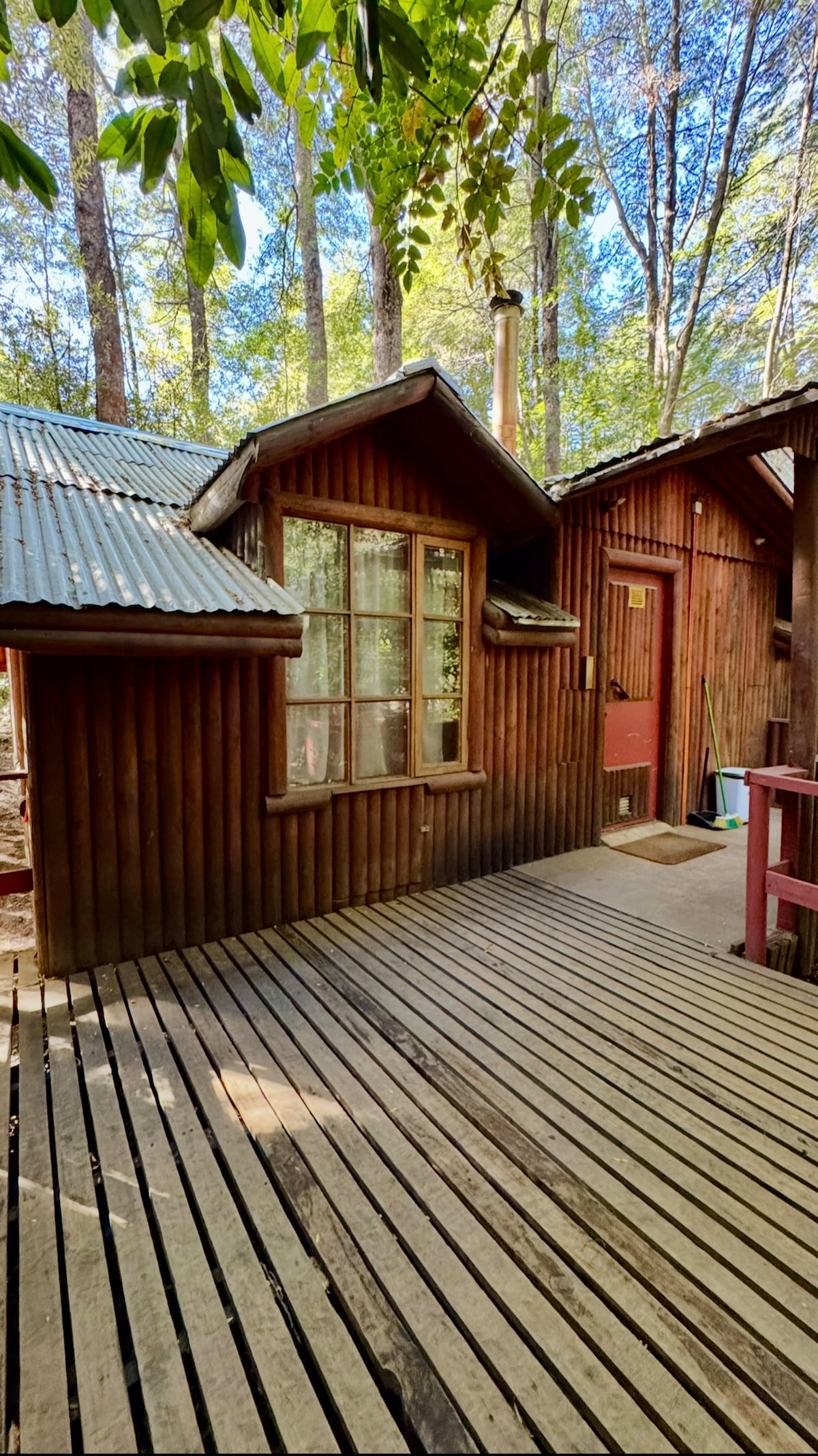Cabin in the middle of the Native Forest (the Arrayán) - Houses for ...