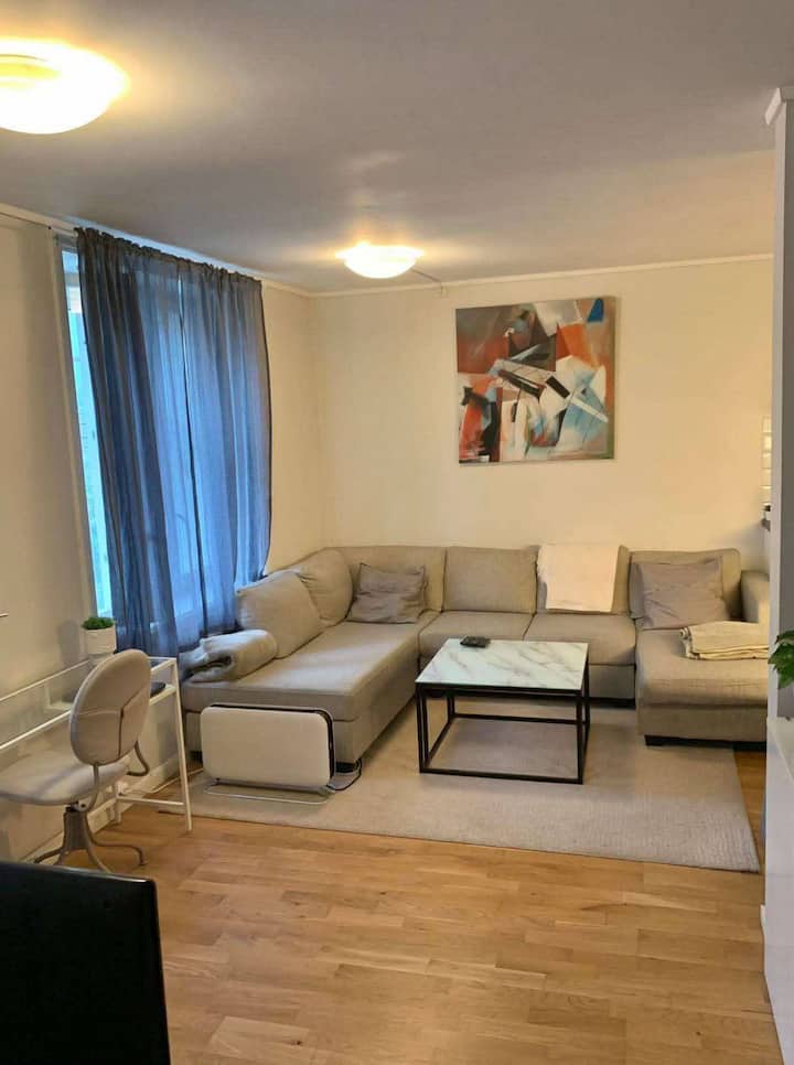 Relaxing Flat, Central - Oslo