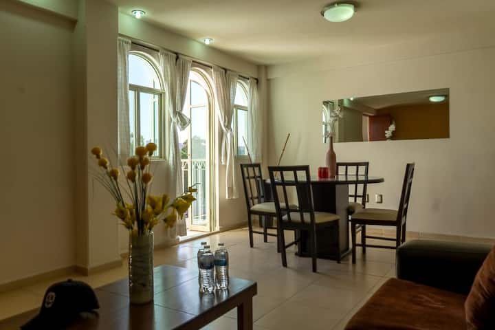 Departamento Amplio En Buena Zona 6 Personas - San Luis Potosí