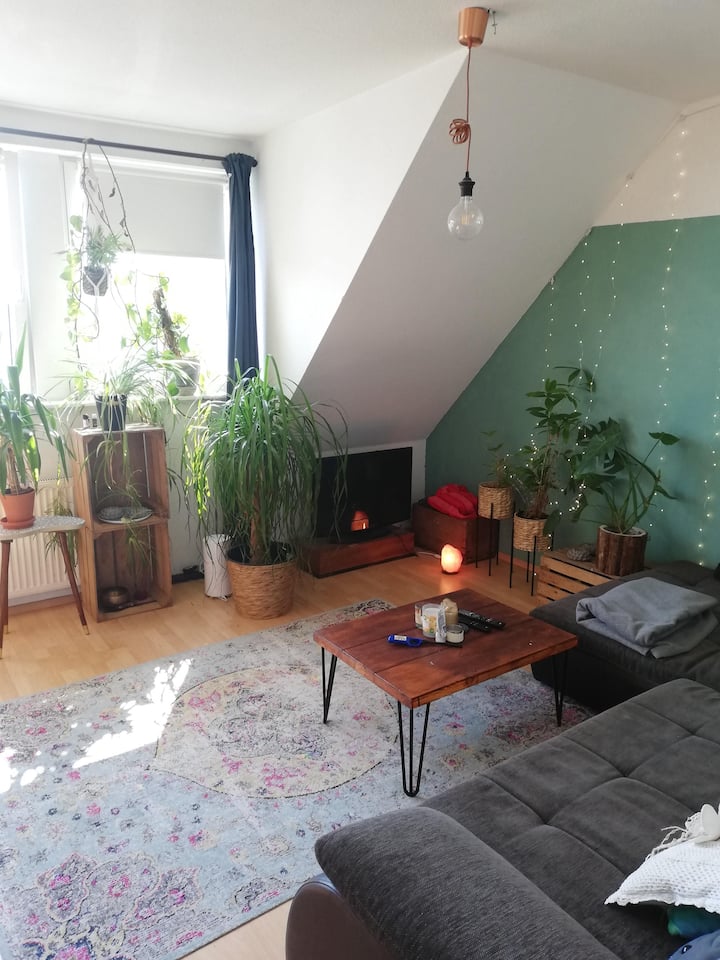 Lichtdurchflutete Wohnung Köln - Köln