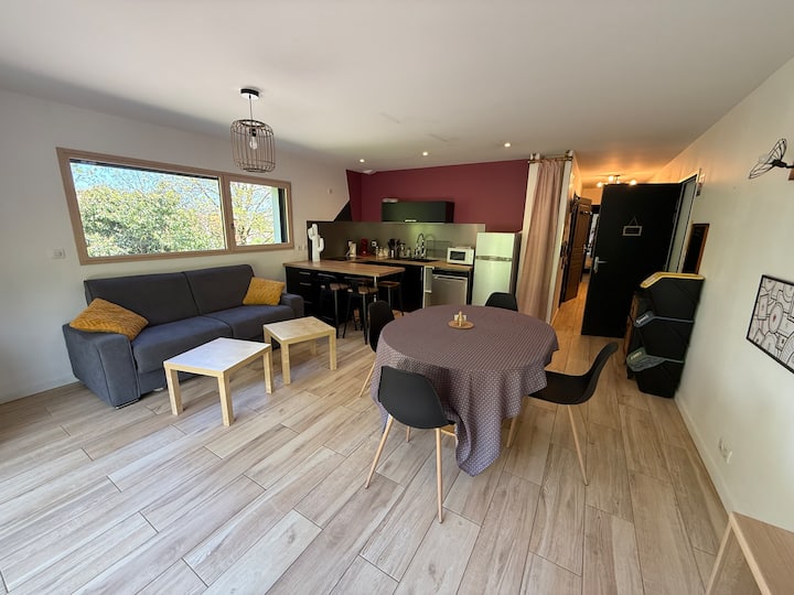 Gîte Trousseau - Salins-les-Bains