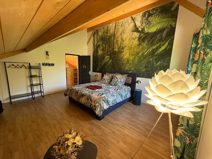 Chambre Forêt - Salins-les-Bains