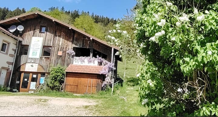 Gîte Ferme Bio De Bonnefontaine - Gérardmer