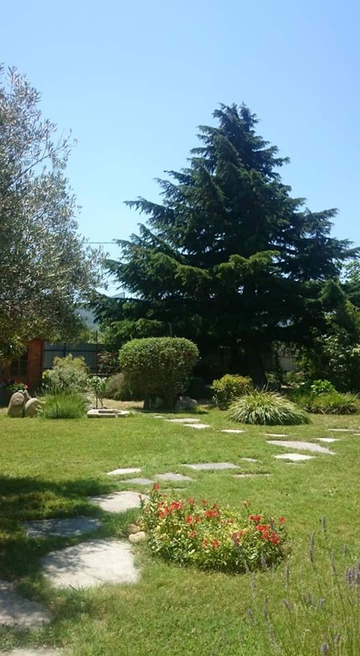 Loft Cosy Avec Piscine. - Ille-sur-Têt