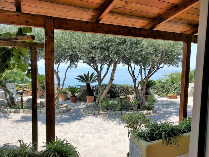 Monolocale Familiare - Forio - Forio