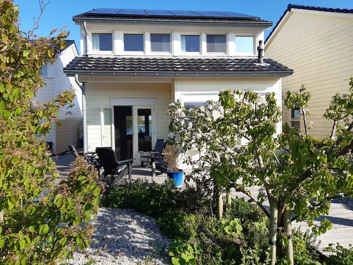 Wierhooft 23 - Texel