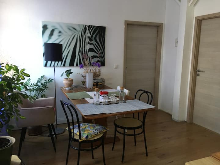 Central City, Quiet Area,parking - Zurich